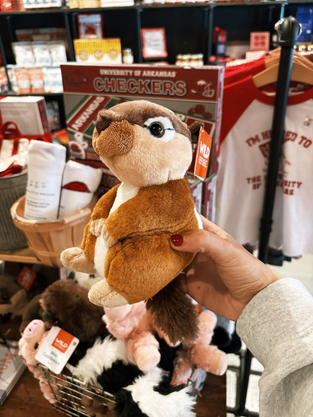 Mini Chipmunk Stuffed Animal 8" – citysupplyfayetteville